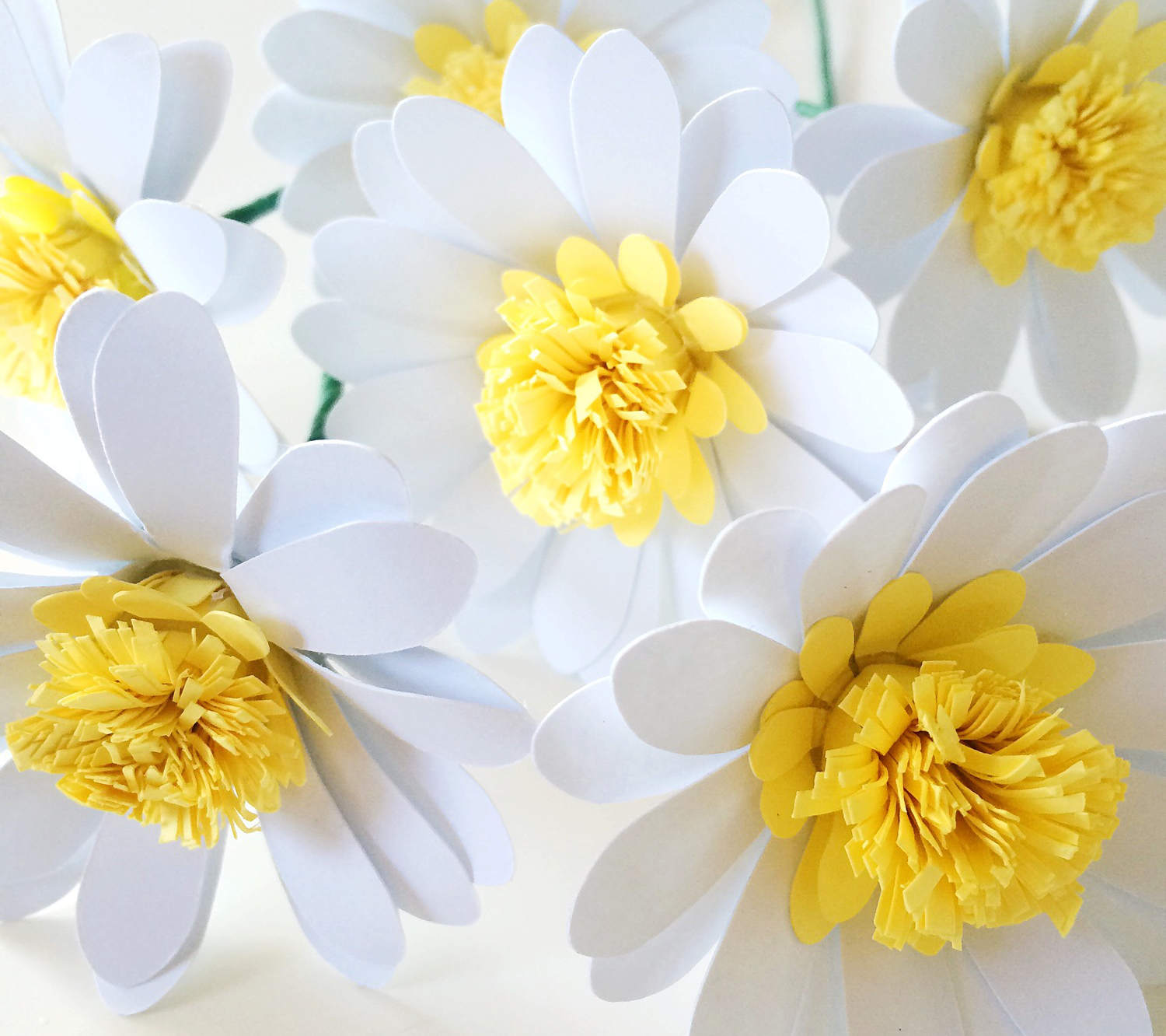 Paper_Daisy_Flower - Creative Pop Up Cards